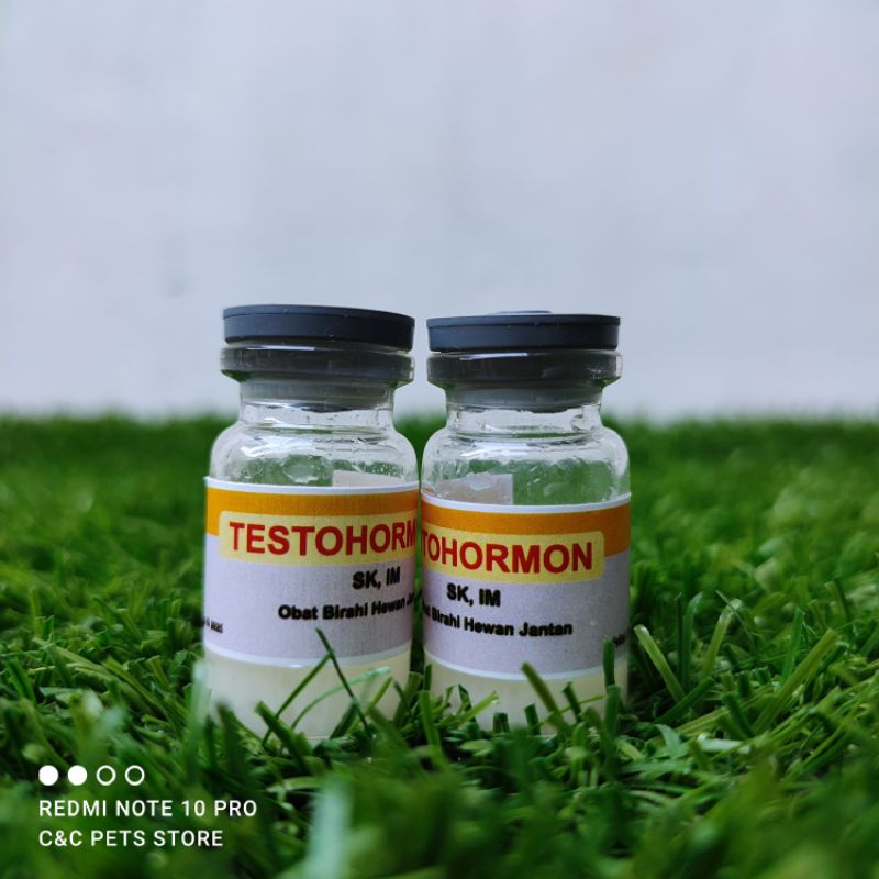 Jual Testohormon Injeksi 5 ml penambah birahi untuk hewan peliharaan ...