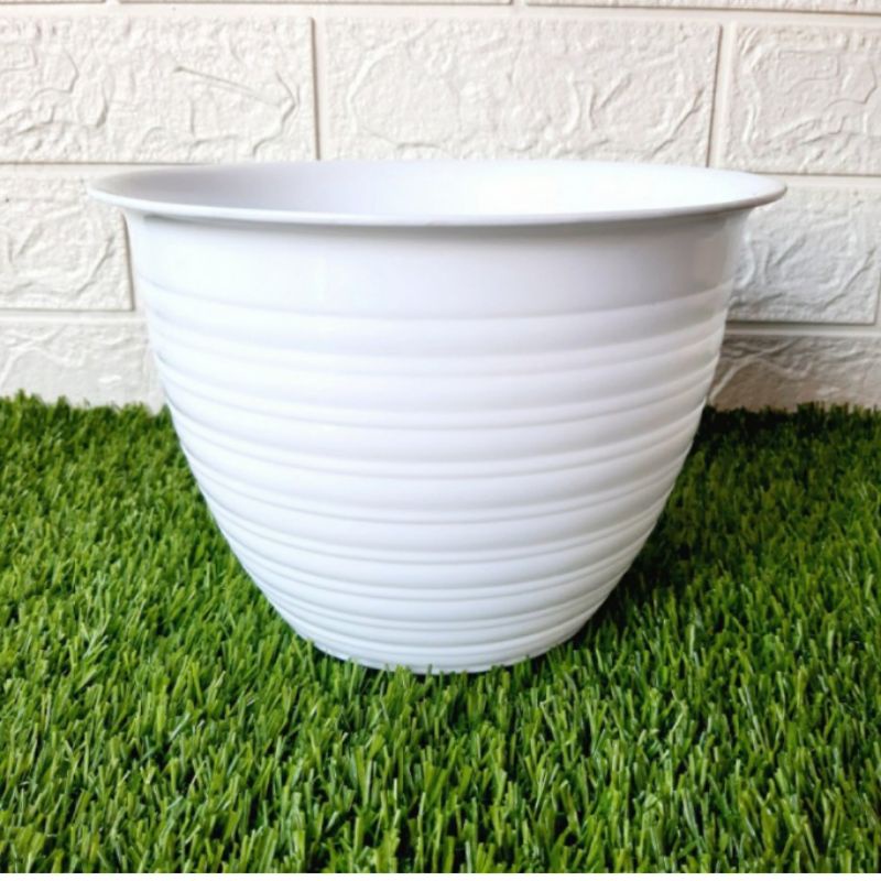 Jual POT TAWON PUTIH/POT TANAMAN POT TAWON PUTIH | Shopee Indonesia