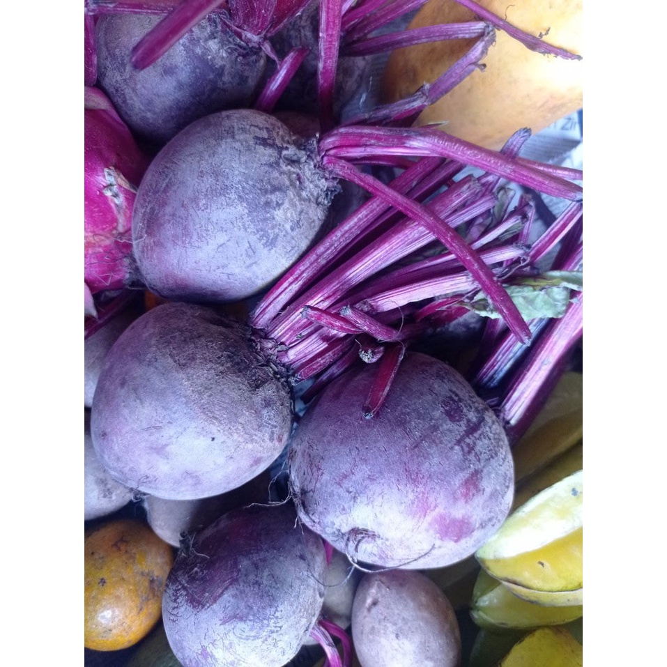 Jual Buah Bit | Shopee Indonesia