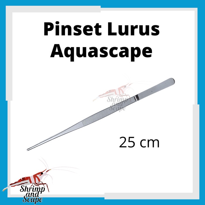 Jual Pinset Lurus 25cm Aquarium Aquascape Stainless Steel Straight ...