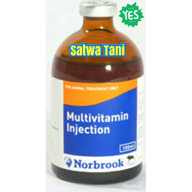 Jual MULTIVITAMIN INJECTION | Shopee Indonesia