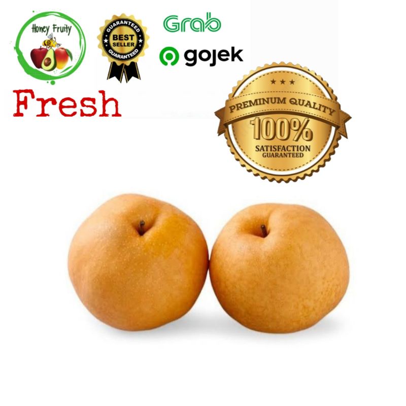 Jual Pir Singo 1 kg | Shopee Indonesia