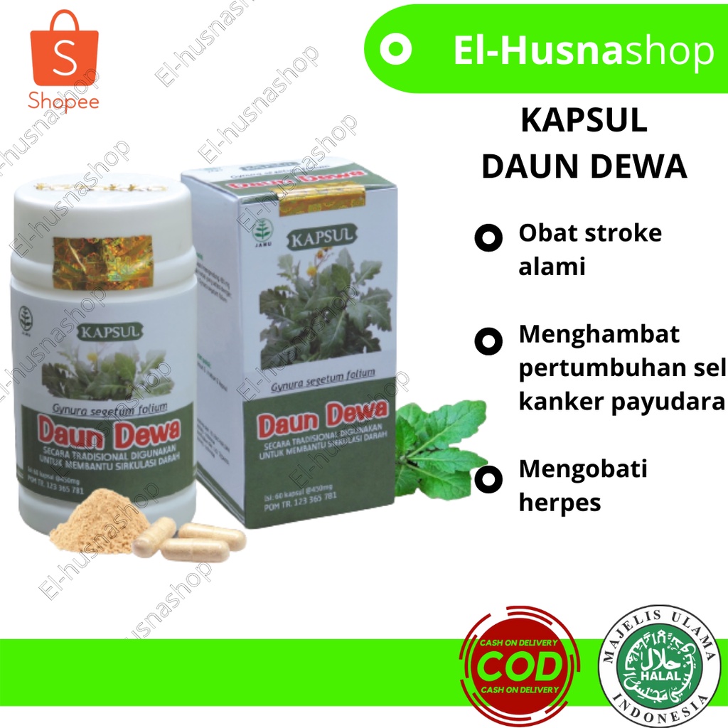 Jual Obat Stroke Alami Kapsul Ekstrak Daun Dewa Herbal Tazakka Original ...