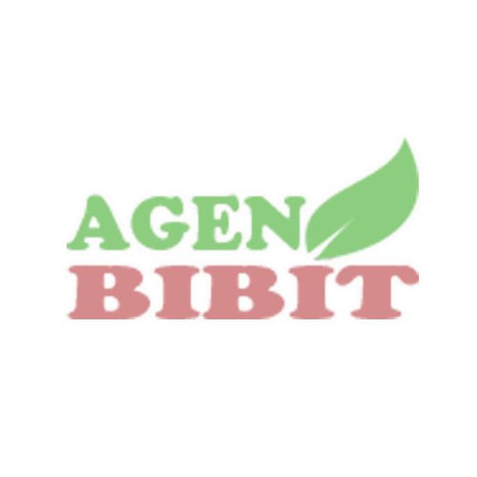 Jual Bibit Pohon Buah Markisa Hijau Jumbo - Tanaman Erbis Besar g5p | Shopee Indonesia