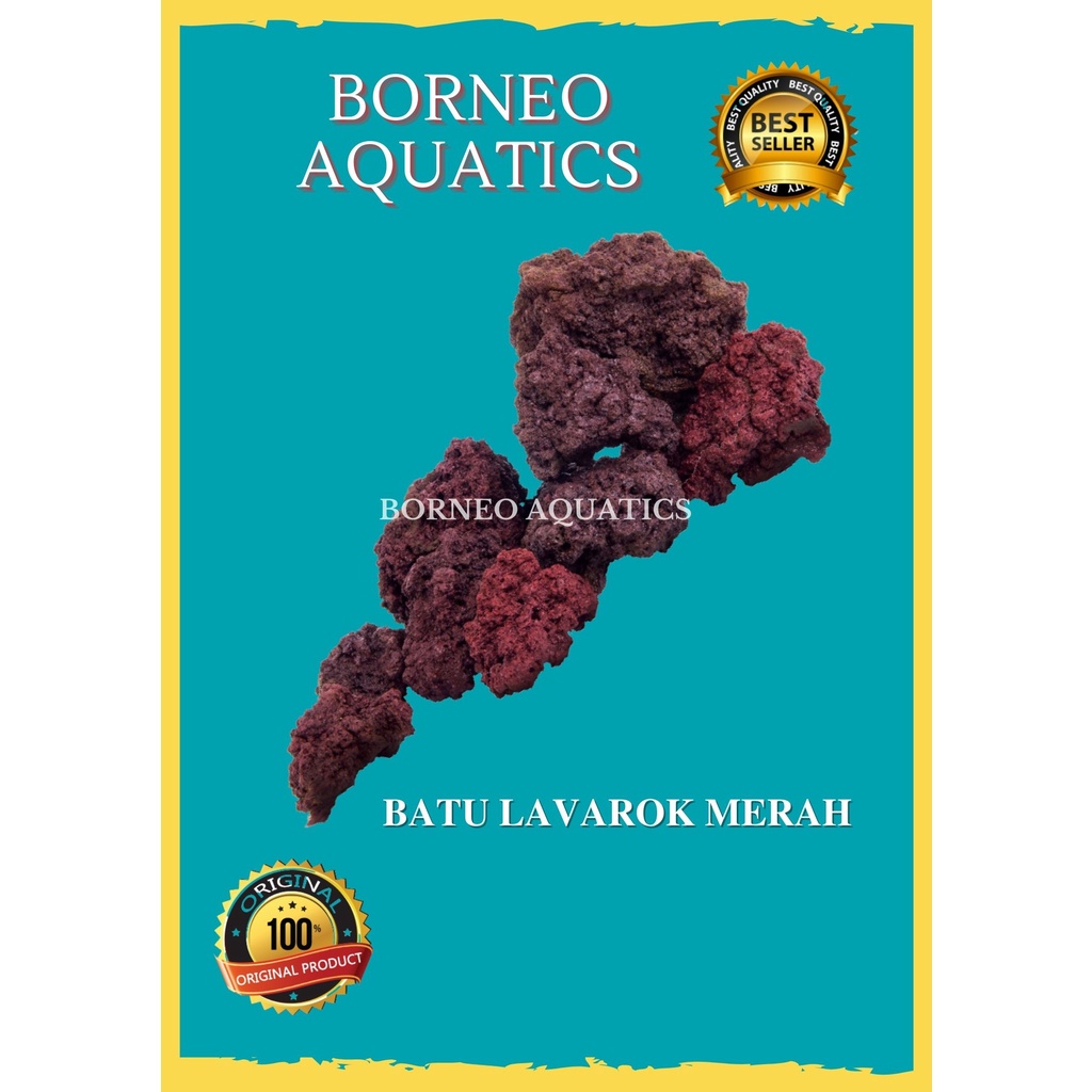 Jual BATU LAVAROCK LAVA ROCK // 500 GRAM // MERAH // AQUASCAPE | Shopee ...