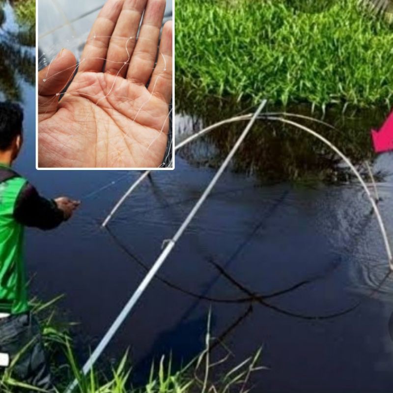 Jual waring anco putih lubang 2 jari ukuran 150cm x 150cm senar 0,25mm ...