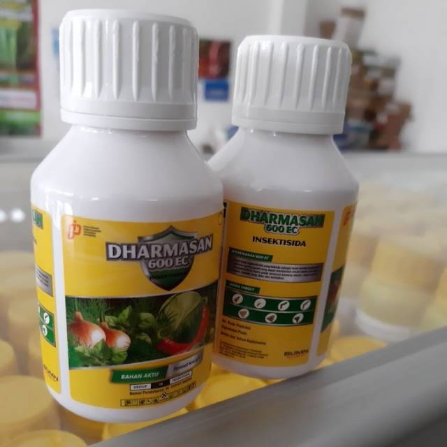 Jual Dharmasan 600EC 100ml Insektisida Obat Pembasmi hama Ulat Tanaman ...