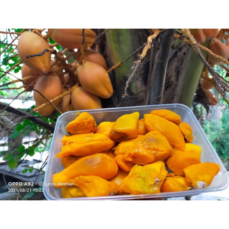 Jual buah lai lay elai elay kupas asli kalimantan | Shopee Indonesia