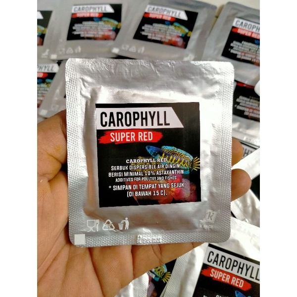 Jual Super Yellow Red & Blue Original(Untuk Ikan Chana,Louhan,Arwana ...
