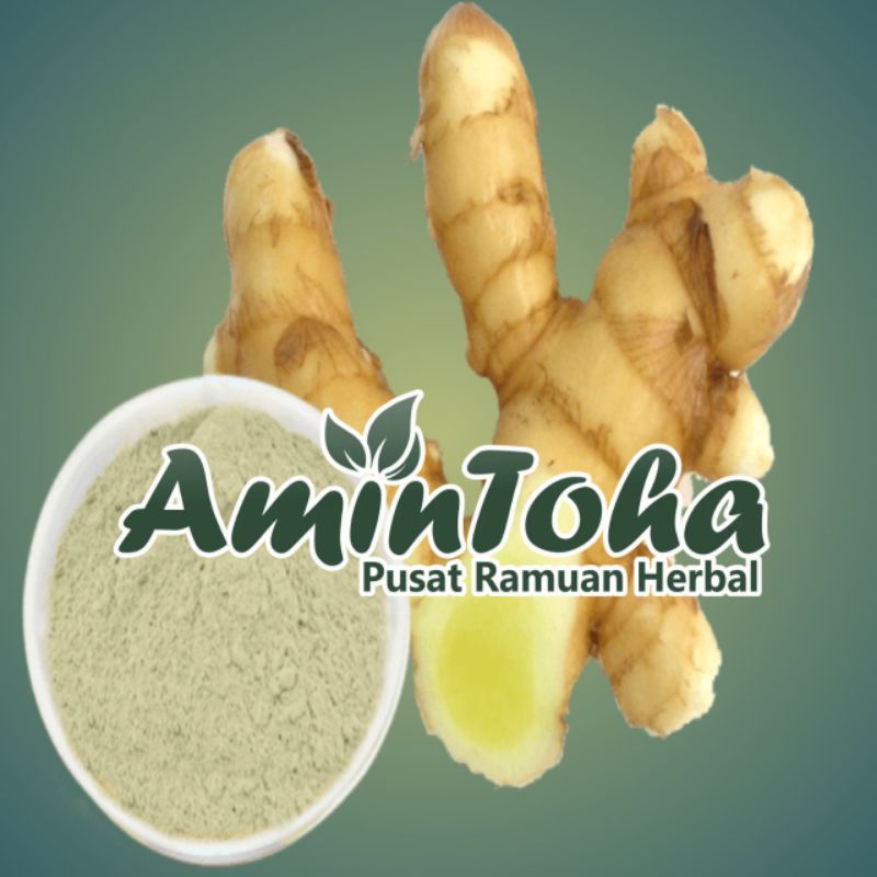 Jual Serbuk Temu Mangga 500 g Simplisia Bubuk Kunyit Mangga Curcuma ...