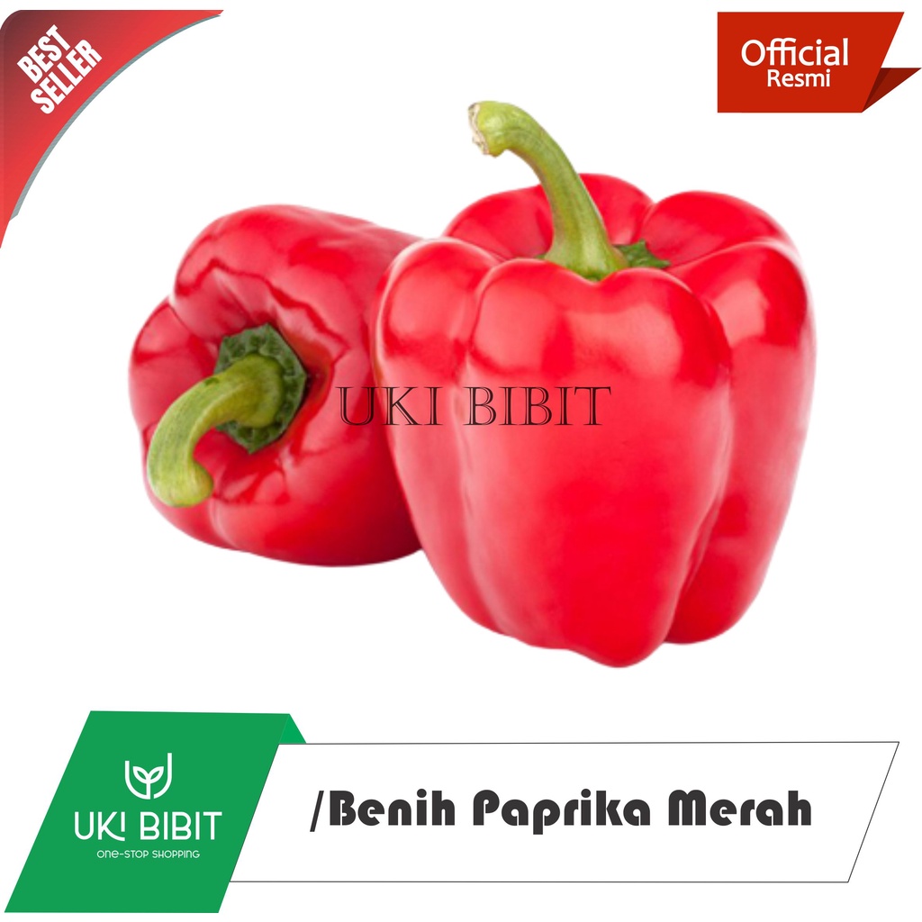 Jual ( 100 Butir ) Benih Biji Paprika Merah | Capsicum Annuum | Shopee ...
