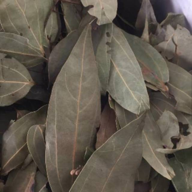 Jual Daun Kayu Manis KERING BAGUS SEGAR 1kg | Shopee Indonesia