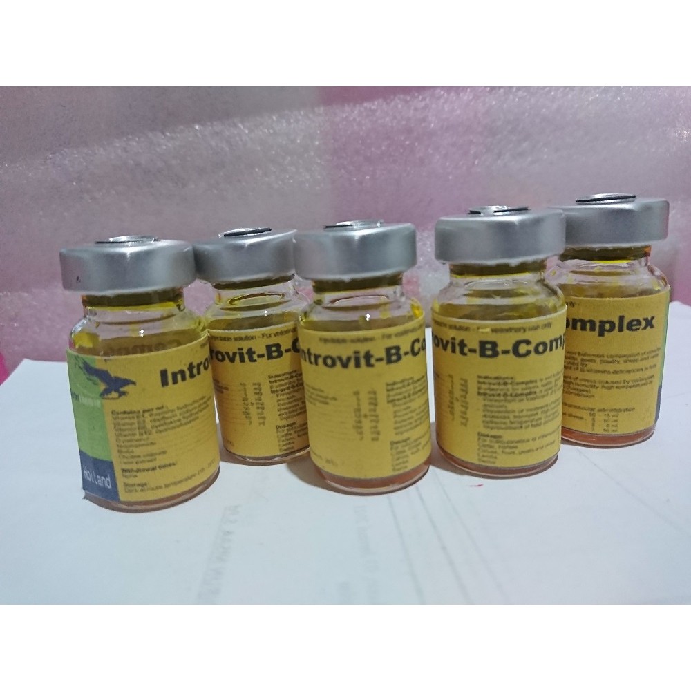 Jual Introvit B Kompleks vitamin hewan penambah nafsu makan | Shopee ...