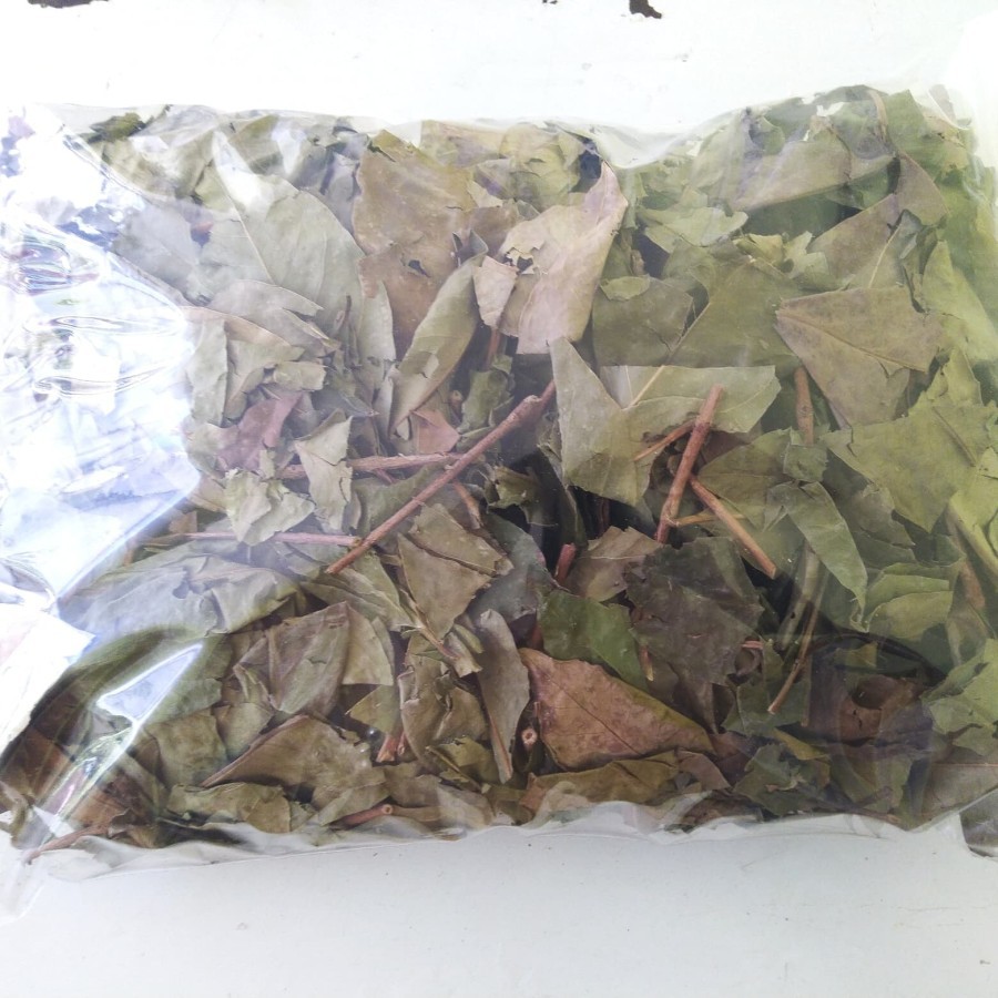 Jual DAUN SALAM KERING 1 KG | Shopee Indonesia