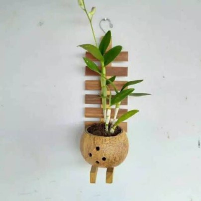 Jual Dekorasi dinding / tempat bunga + kunci / kapstok / gantungan ...