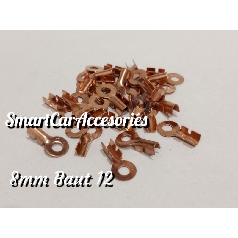 Jual Sekun Skun Bulat Masa Massa Grounding Tembaga Tebal 6mm Baut 10 ...