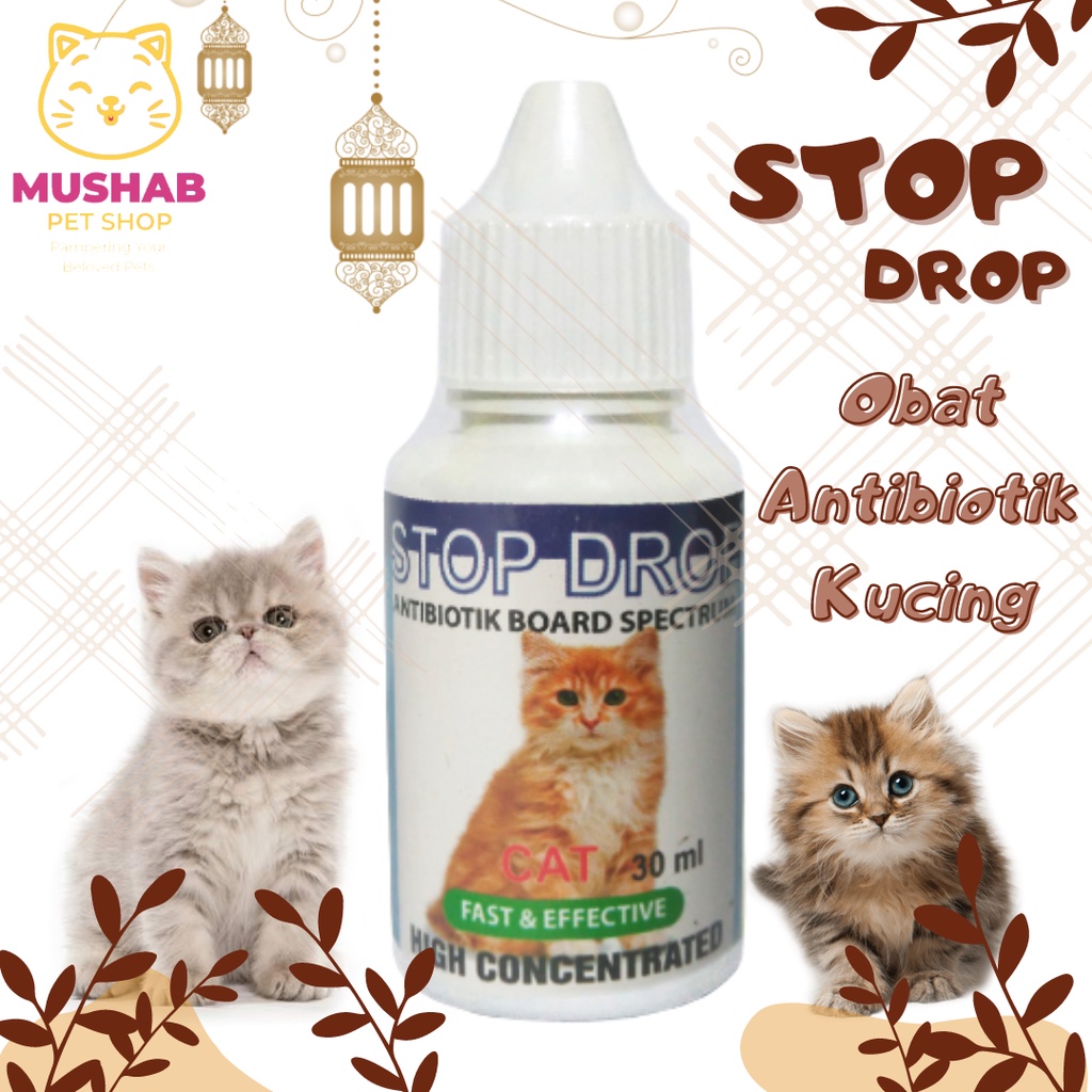 Jual Stop Drop Obat Antibiotik Kucing Demam Flu Batuk dan gejala Virus ...