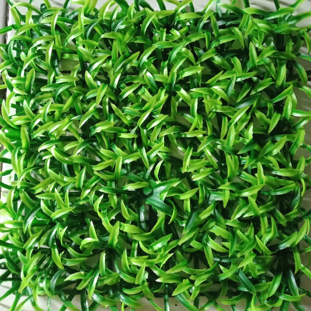 Jual rumput sintesis | Shopee Indonesia