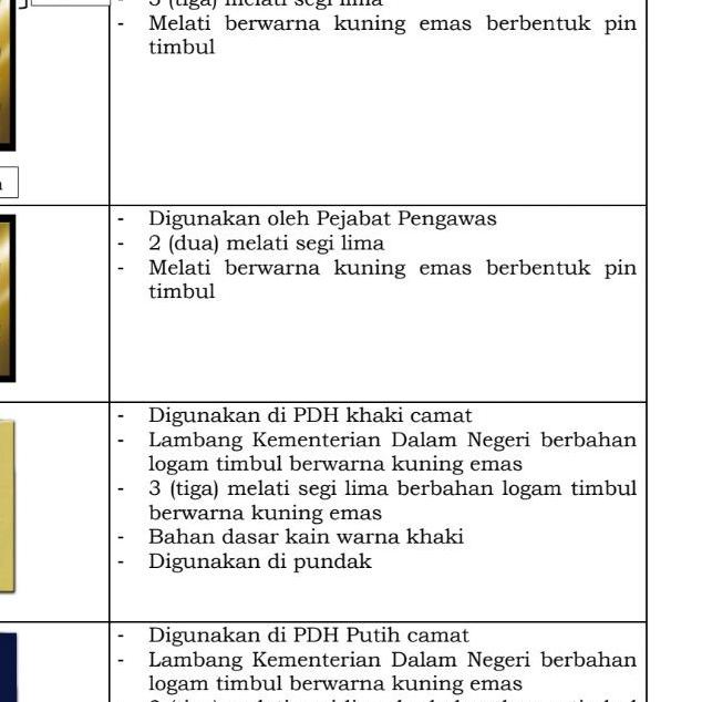 Jual Tanda Jabatan ASN tanda jabatan PNS sesuai PERMENDAGRI ☪ | Shopee ...