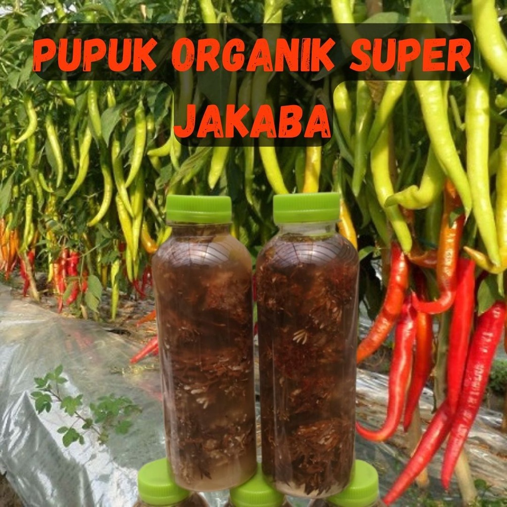Jual PUPUK JAKABA SUPER SUBUR DAN BONGSOR UNTUK CABAI, ANGGUR, TANAMAN ...