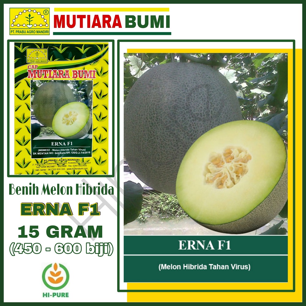 Jual BENIH MELON HIBRIDA ERNA F1 ISI 15 GRAM (450-600 butir benih ...