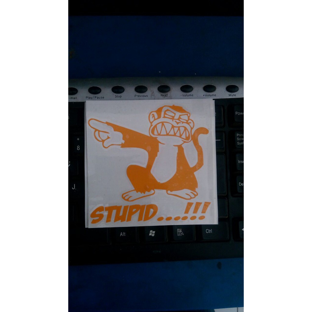 Jual cutting sticker stupid monkey | Shopee Indonesia