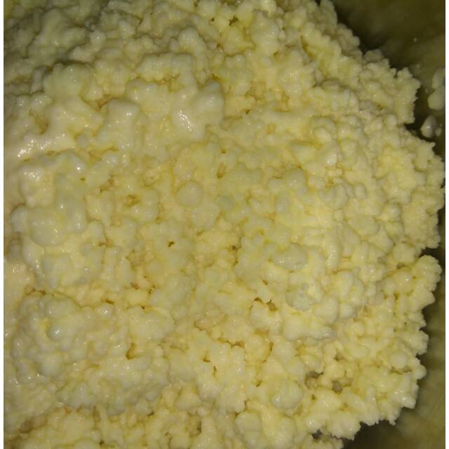Jual Kefir Grains (Bibit Kefir) | Shopee Indonesia