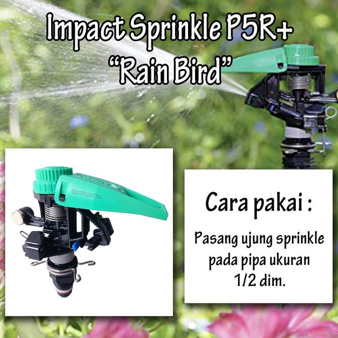 Jual Alat Irigasi Impact Sprinkle P5Rplus Rain Bird | Shopee Indonesia