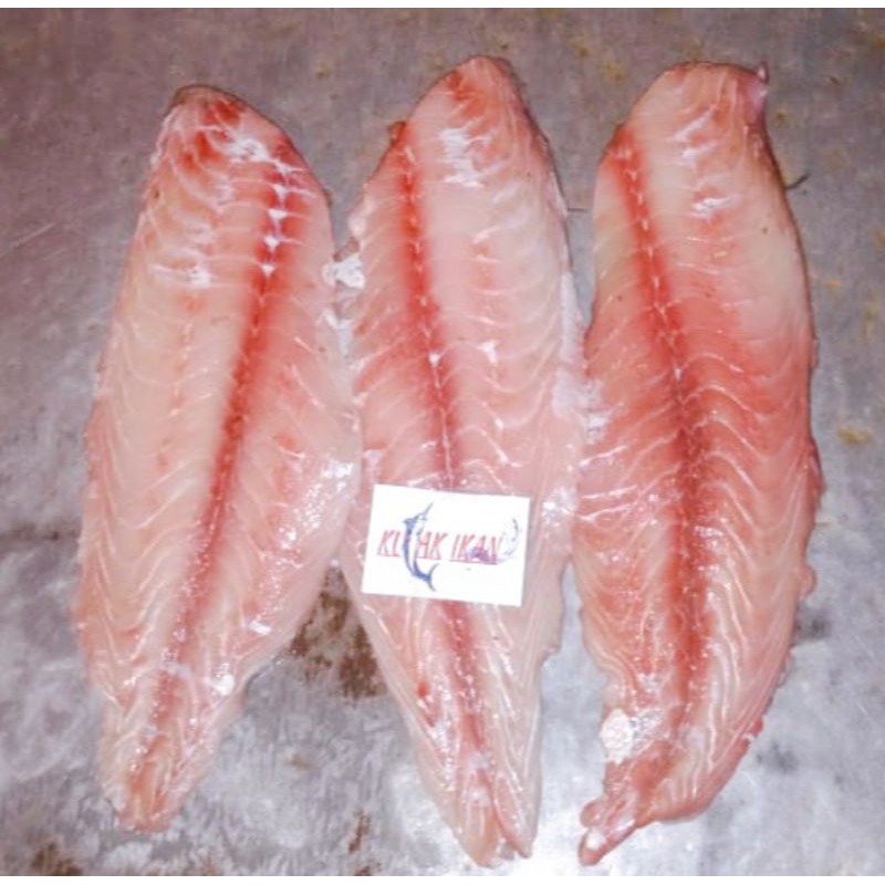 Jual IKAN KAKAP FILLET SEGAR/KAKAP FIlLET KUALITAS SUPER/FROZEN ...