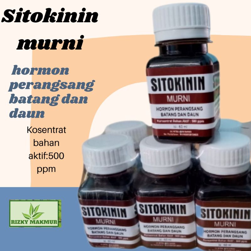 Jual Sitokinin murni asli hormon perangsang batang dan daun | Shopee ...