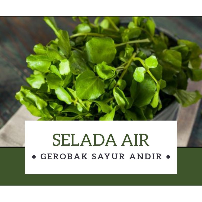 Jual Selada Air /ikat | Shopee Indonesia