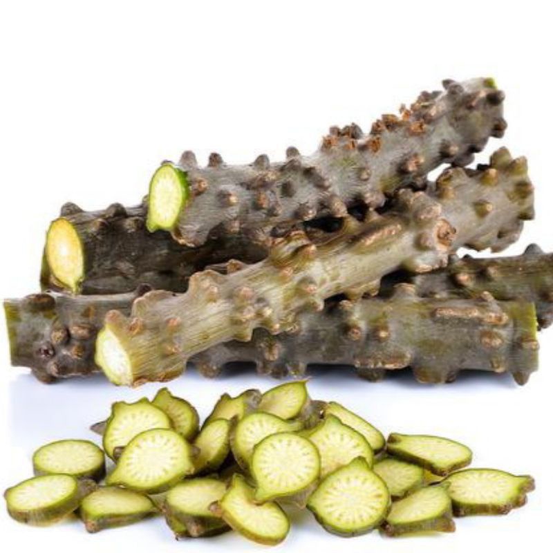 Jual Brotowali/Batrawali/Patrawali Segar 1Kg Isi Banyak | Shopee Indonesia