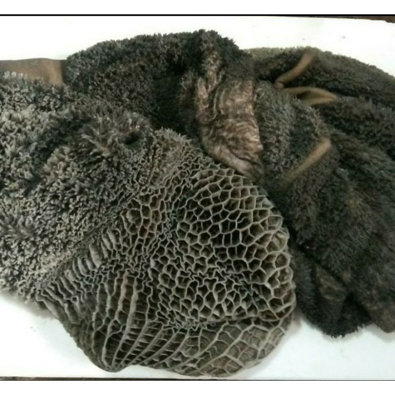 Jual Babat Sapi Hitam 500gr | Shopee Indonesia