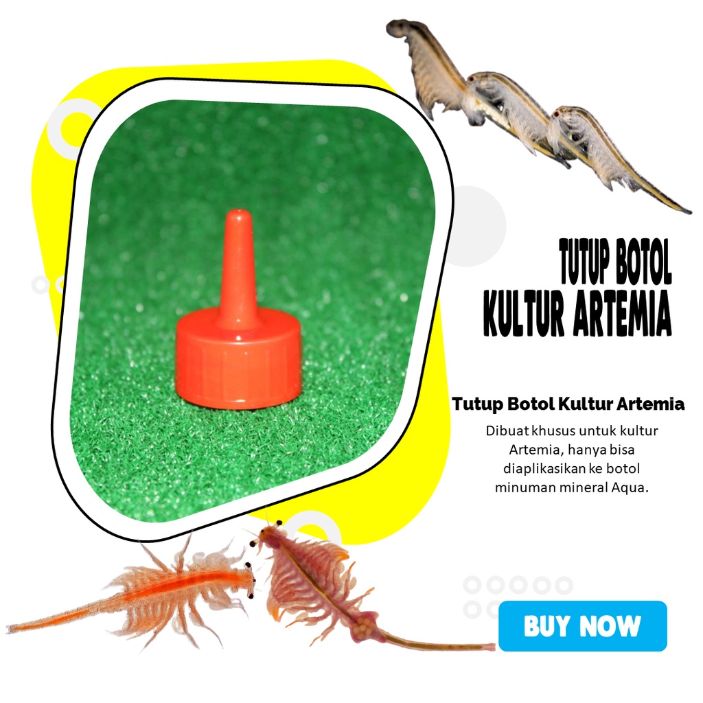 Jual Tutup Botol Kultur Artemia Tutup Botol Aqua | Shopee Indonesia