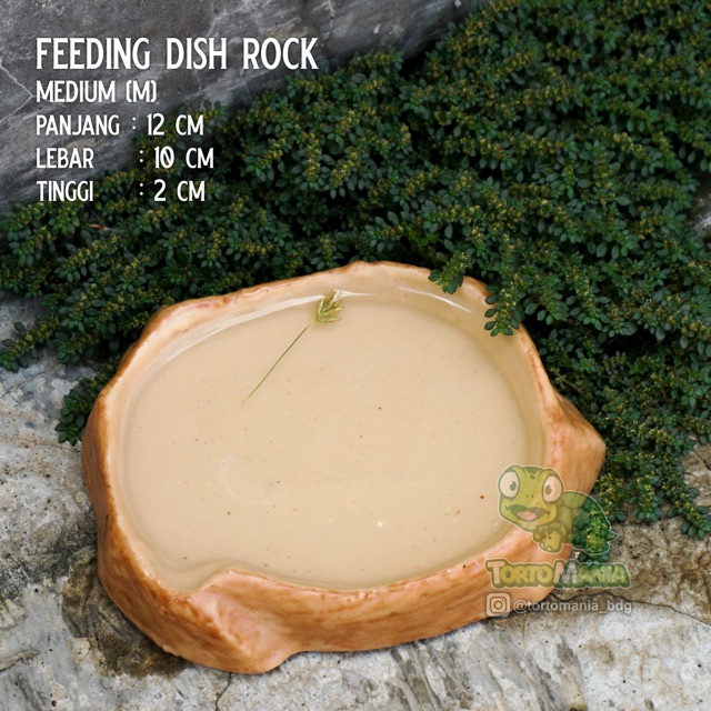 Jual Feeding dish rock size M/tempat makan reptil/kura kura darat ...