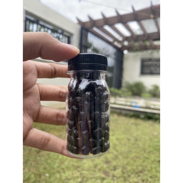 Jual PIL JAMU ASLI KALIMANTAN | Shopee Indonesia