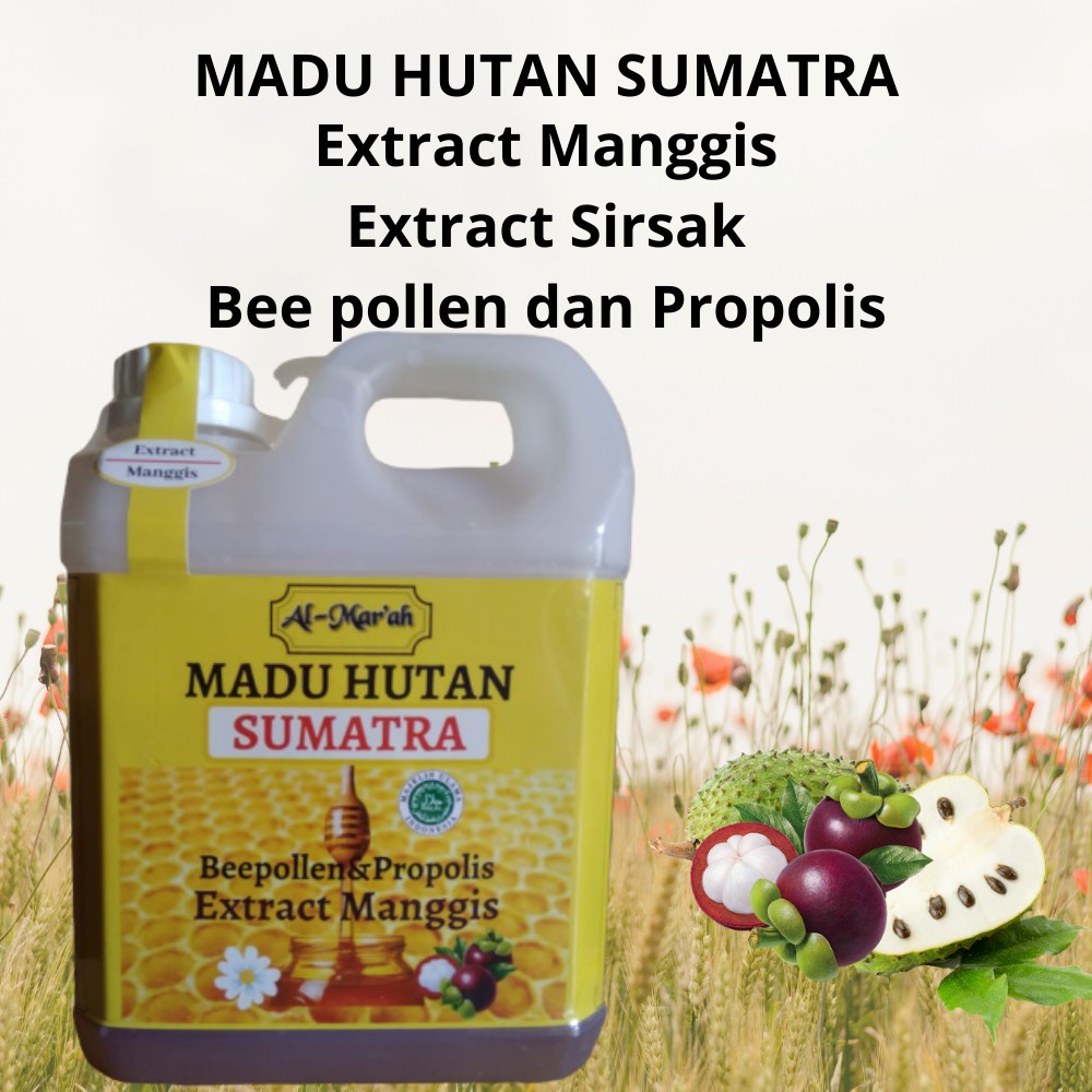 Jual Madu Hutan Sumatra 1 Kg Al Mar'ah | Shopee Indonesia