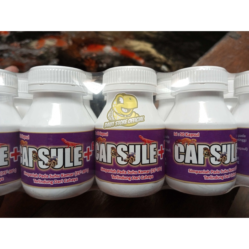 Jual Capsule+G / Capsule Plus GENERIK by Gala Tortle EJ Vitamin dan ...