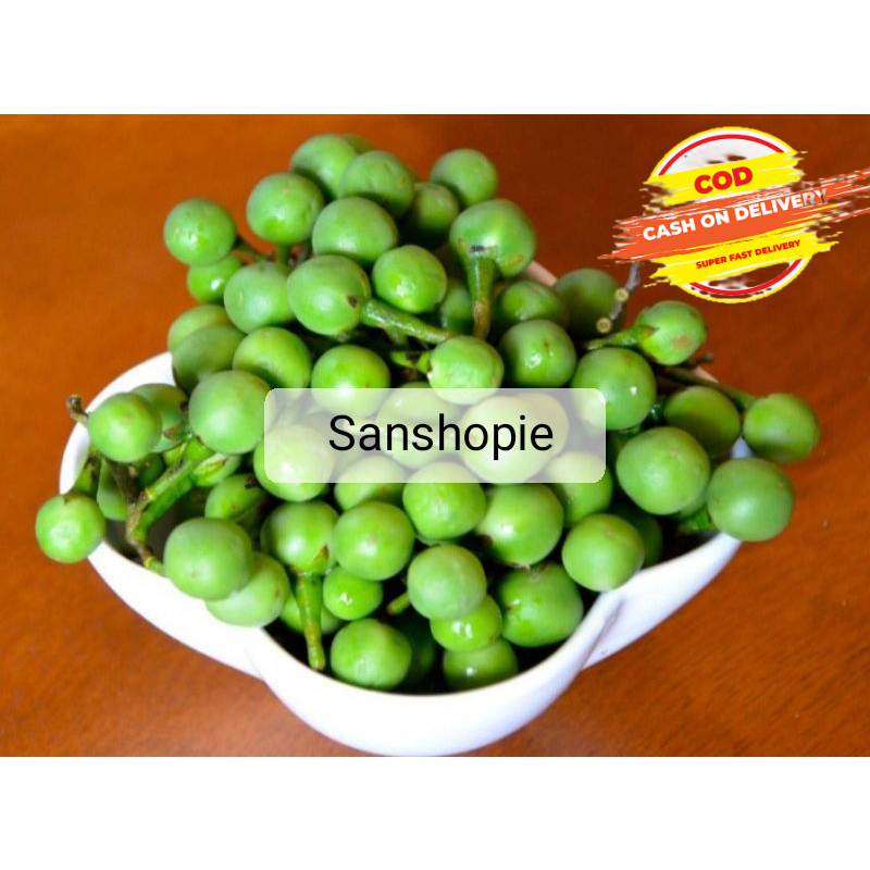 Jual Buah cepokak atau takokak segar fresh per 500 gram | Shopee Indonesia
