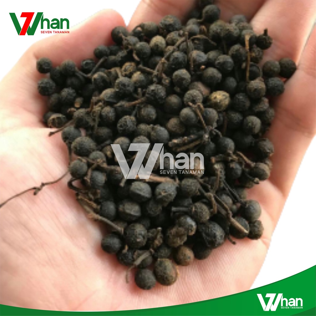 Jual Biji Kemukus Rinu Lada hitam 1 kg WHAN7 TANAMAN | Shopee Indonesia