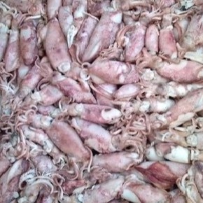 Jual Cumi Telor Murah 500 gr | Shopee Indonesia