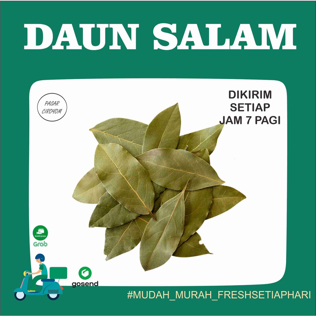 Jual DAUN SALAM FRESH MURAH BANDUNG | Shopee Indonesia