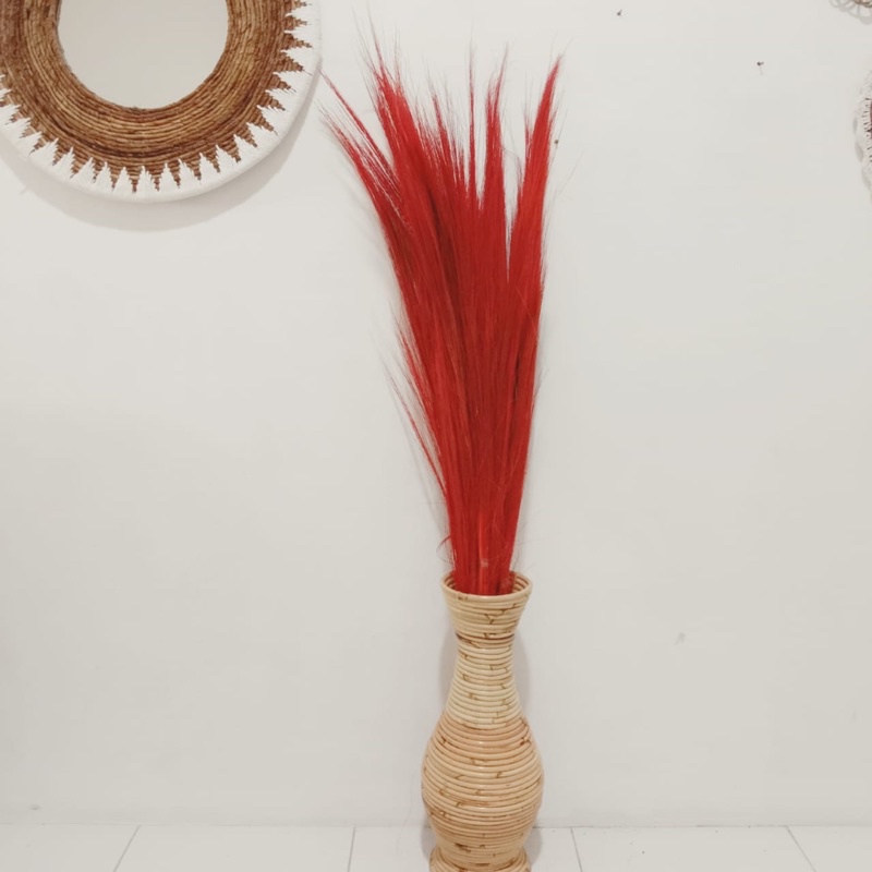 Jual Rayung Stick Pampas Panjang 1,5 Meter (1 ikat isi 3 batang ...