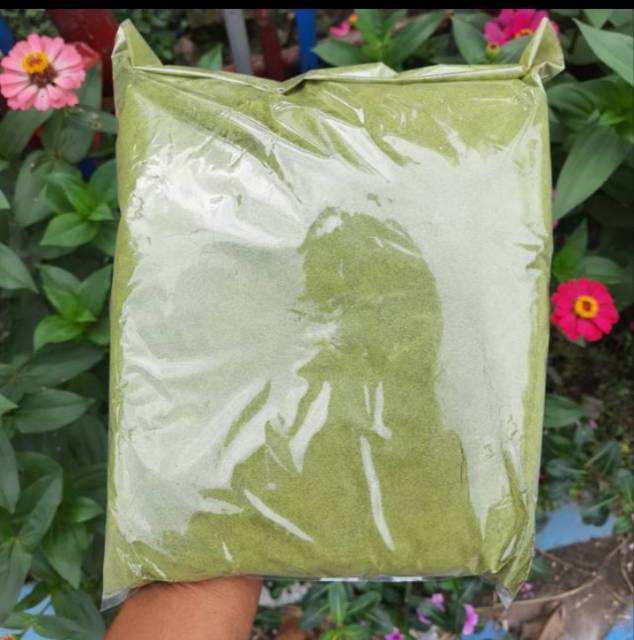 Jual Bubuk daun KELOR 500 gram/ setengah kilo | Shopee Indonesia