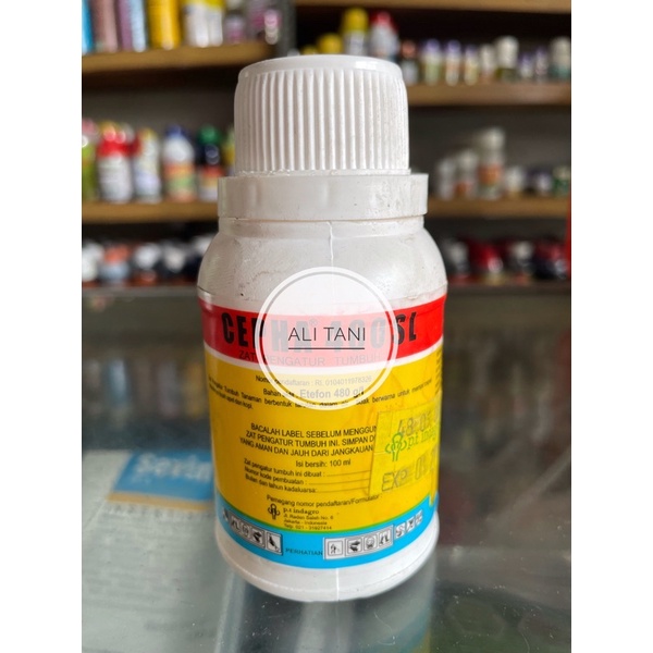 Jual CEPHA 480SL Kemasan 100 ML ZPT Pupuk Hormon Tanaman / Pemasak Buah ...