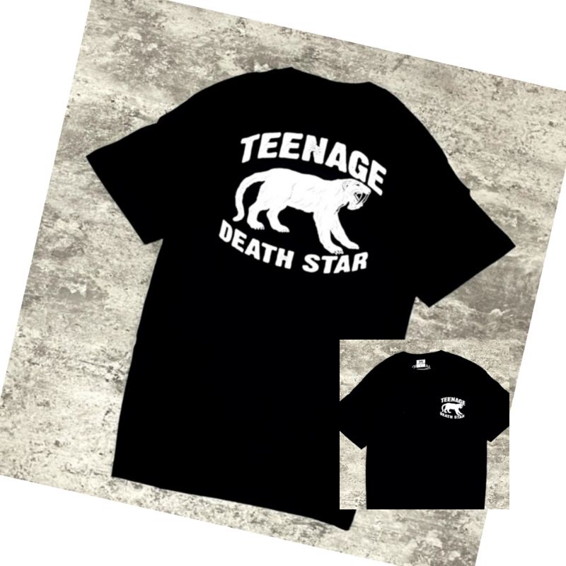 Jual TEENAGE DEATH STAR tshirt skill is dead / kaos band TDS / kaos ...
