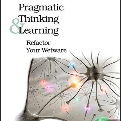 Jual Buku Cetak Pragmatic Thinking and Learning | Shopee Indonesia