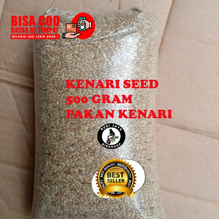 Jual KENARI SEED CANARY SEED 500 GRAM GRADE A PAKAN MAKANAN BURUNG ...
