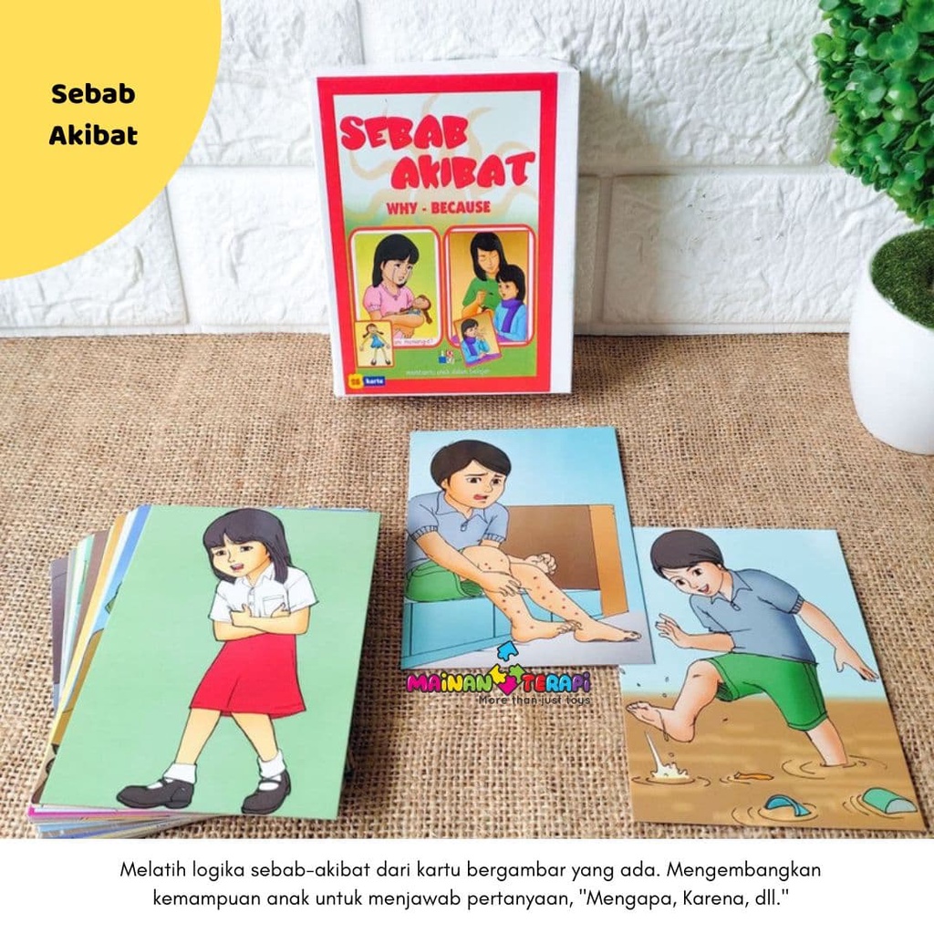 Jual Mainan Terapi IQ DEV Kartu Sebab Akibat Kartu Wicara ABK Flashcard ...