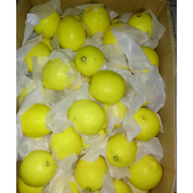 Jual Lemon import (sold out) | Shopee Indonesia
